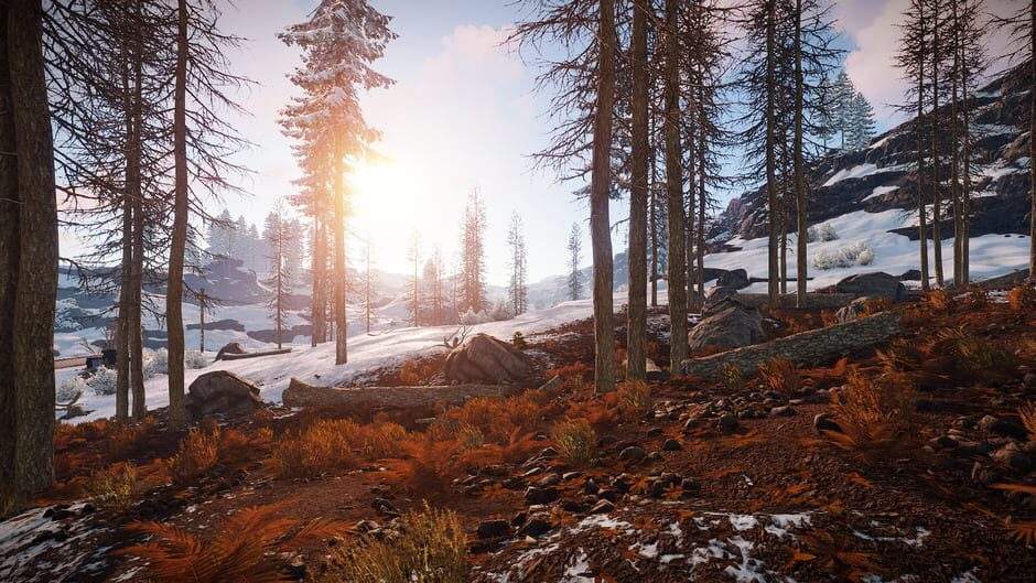 Get a free serial key for Rust on Steam